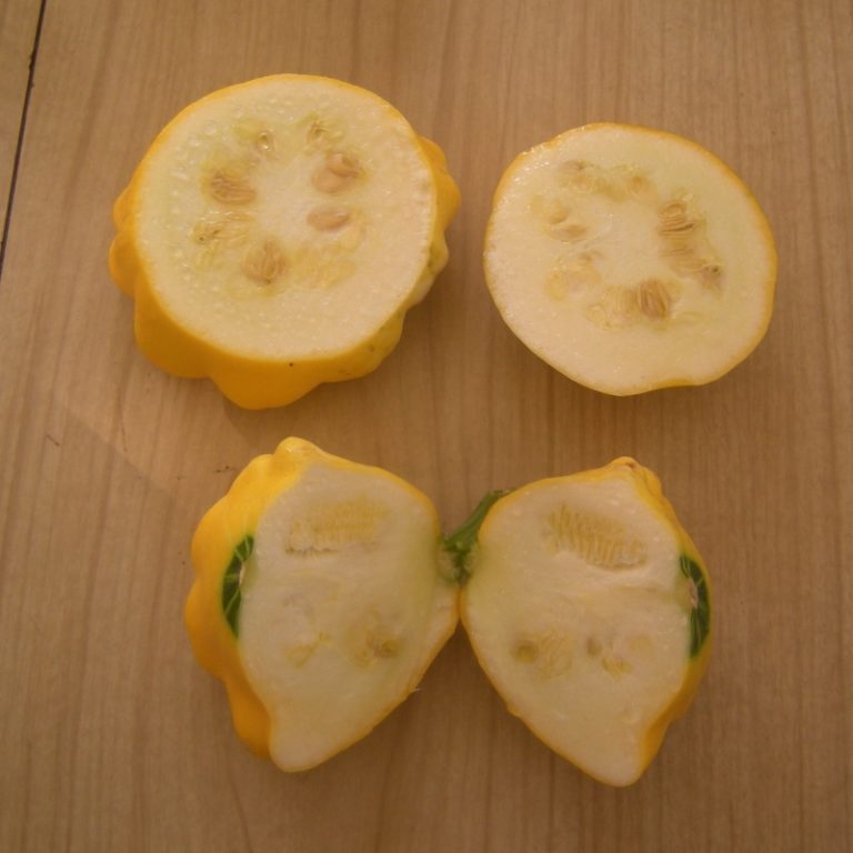 What Do I Do with…a Patty Pan Squash? – Southwick Family Farm